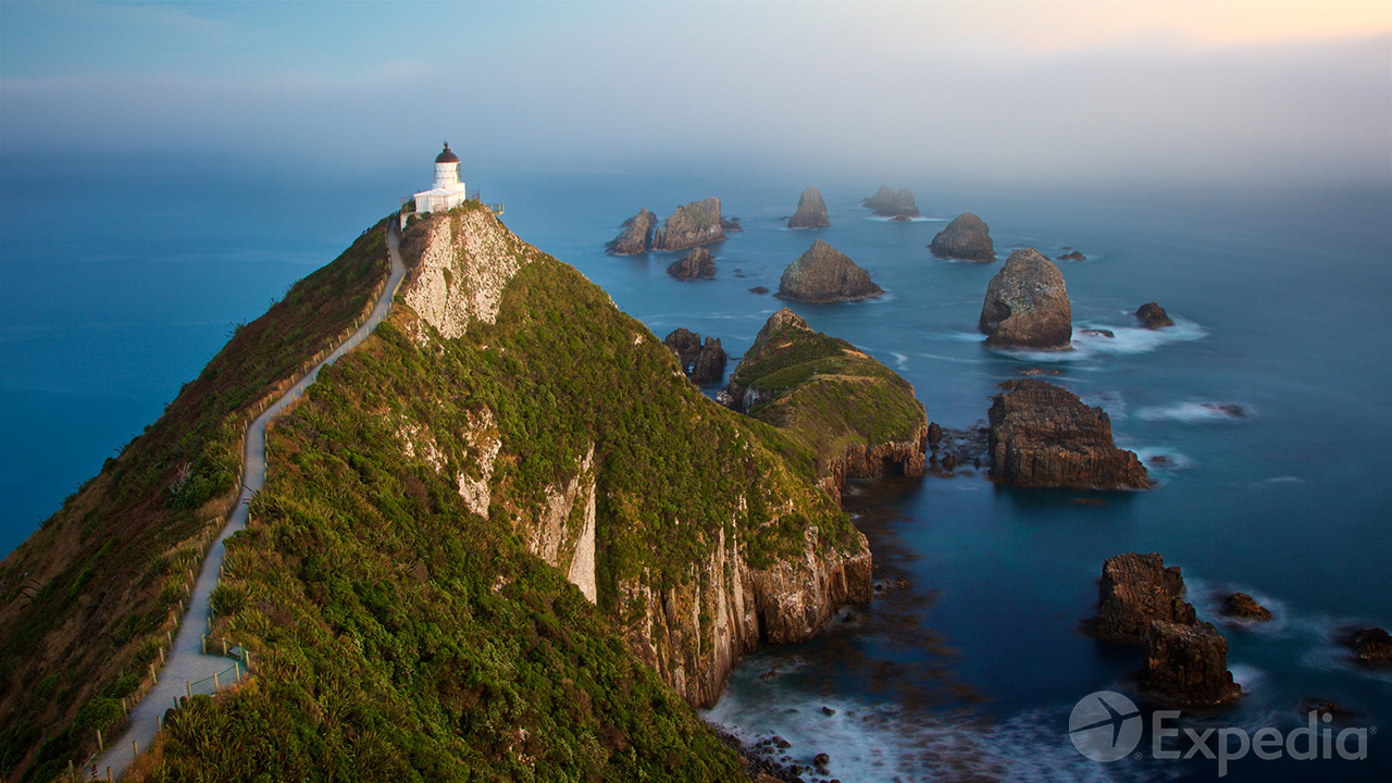 Dunedin Vacation Travel Guide - Tourism Media